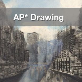 AP Drawing – iArt Institute